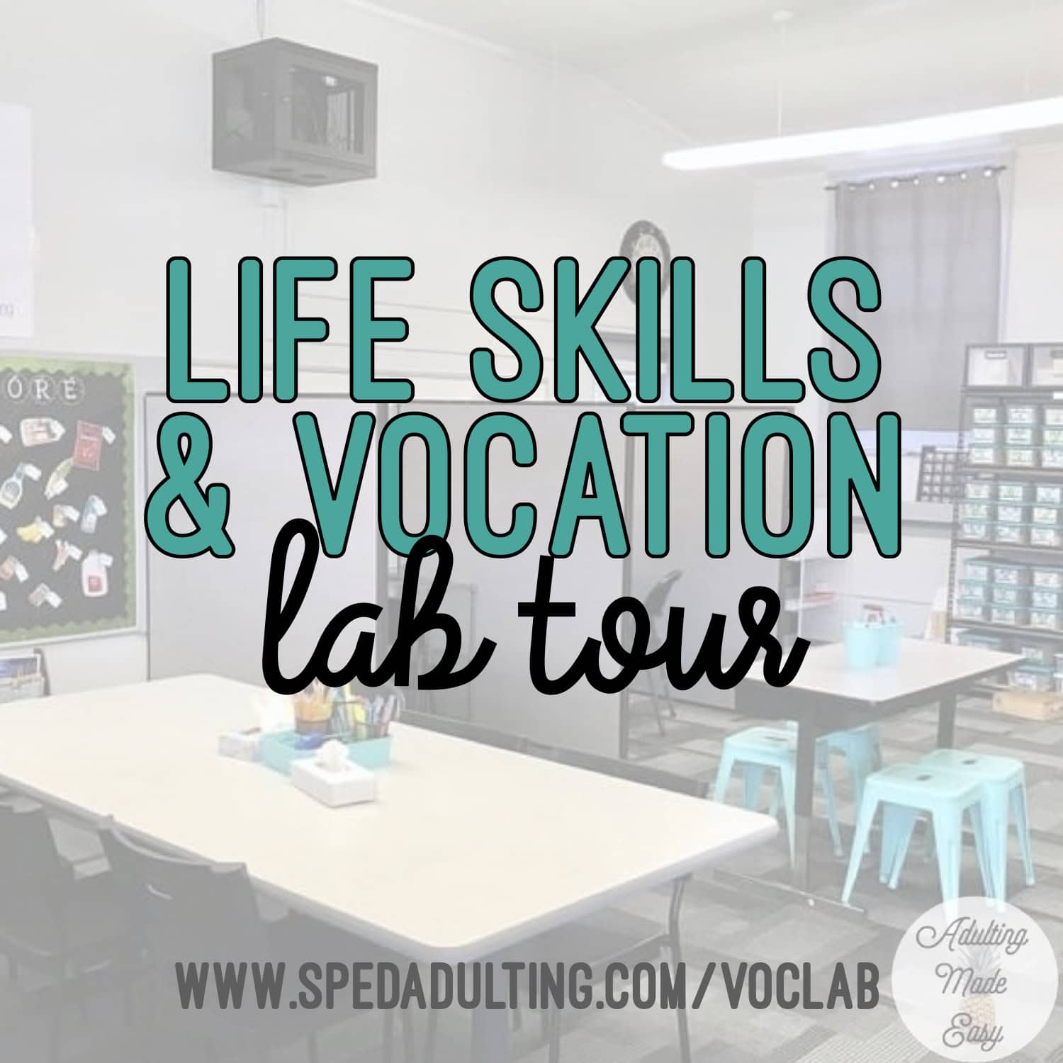 Vocation & Life Skills Lab Tour - Adulting Made Easy LLC