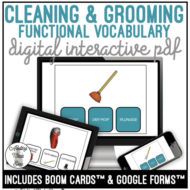 Cleaning & Grooming Supplies Vocabulary Digital Task Cards