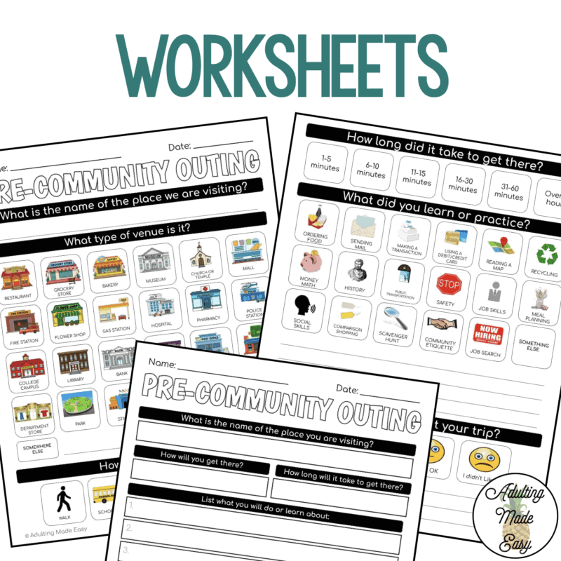 Community Outing CBI Visual Reflection Worksheets