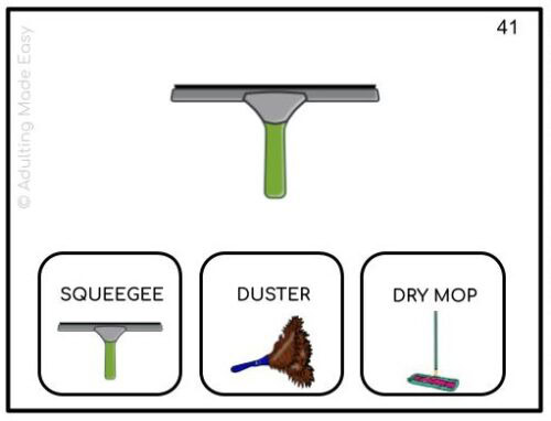 Cleaning and Grooming Supplies Task Cards