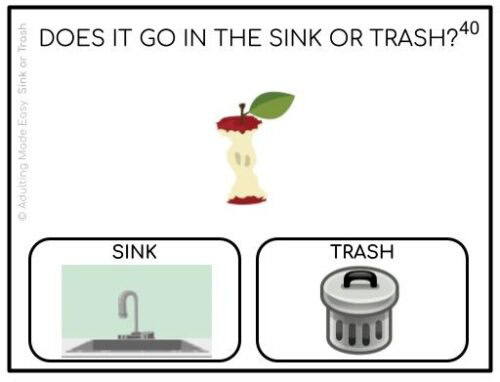 Does It Go In The Sink or Trash? Task Cards