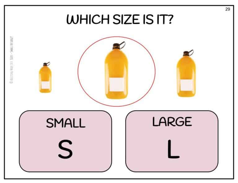 Sizes - Small or Large? Digital Task Cards