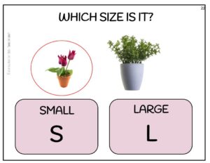 Sizes - Small or Large? Digital Task Cards