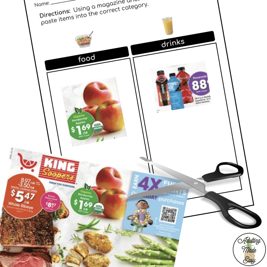 Life Skills Cut & Paste Sorting