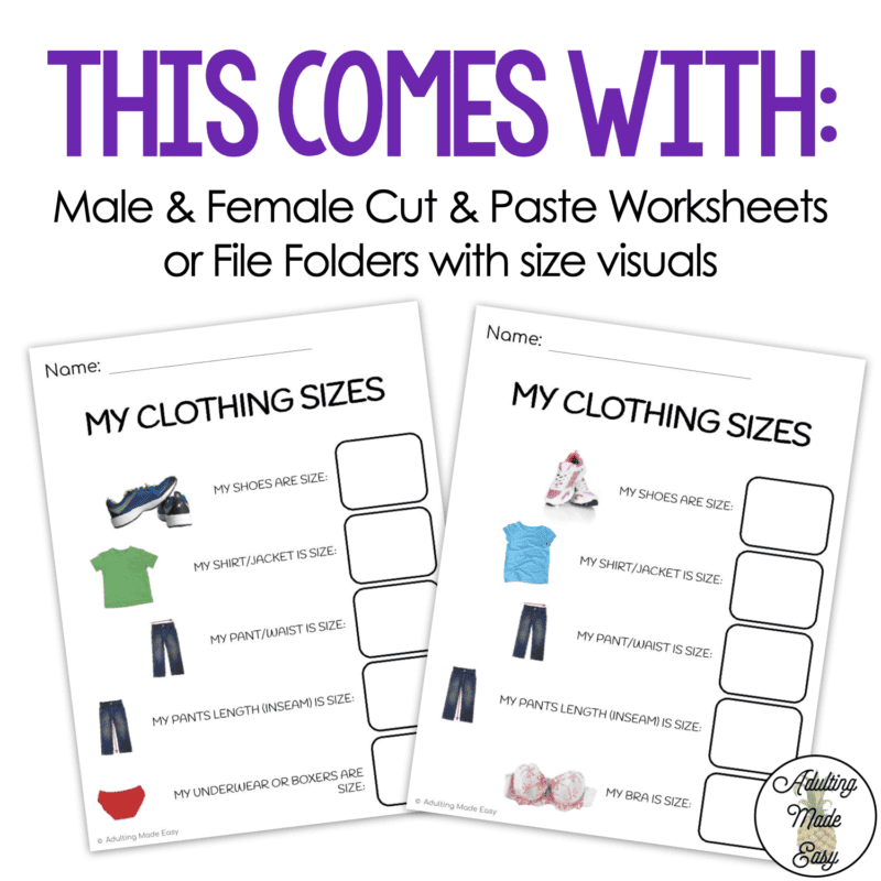 My Clothing Sizes - File Folders & Flashcards