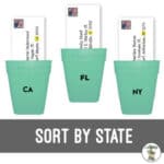 Mail Sorting Task Box Activity