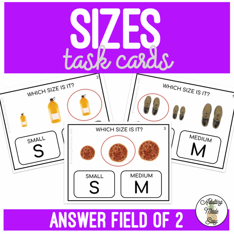 Sizes - Small Medium Large Field of 2 Task Cards