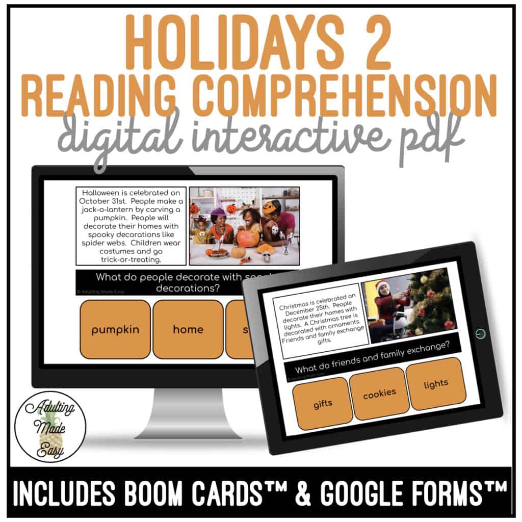 Holidays 2 Reading Comprehension Digital Activity
