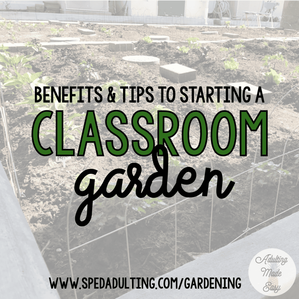 Benefits of a Classroom Garden & How to Get Started