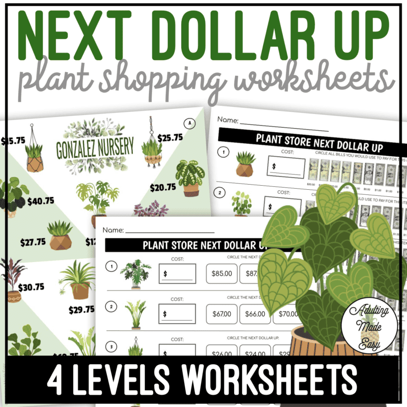 Plant Shopping Next Dollar Up Worksheets