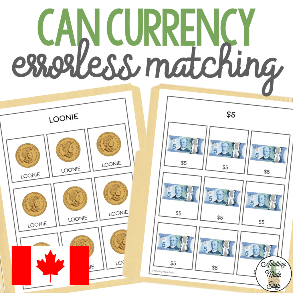 CAN Currency Errorless Matching File Folders - Adulting Made Easy LLC