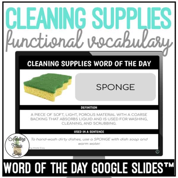Cleaning Supplies Vocabulary WORD OF THE DAY Google Slides - Adulting ...